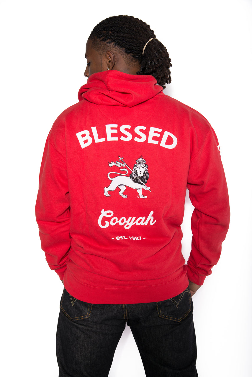 Cooyah Blessed Lion of Judah Hoodie – Cooyah Clothing Store